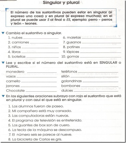 Ejercicios de Primaria: Singular y plural – ejercicio primaria